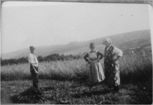 HOME & WORK IN 1914 Old farming Five Roads – Cymdeithas Treftadaeth Pum ...